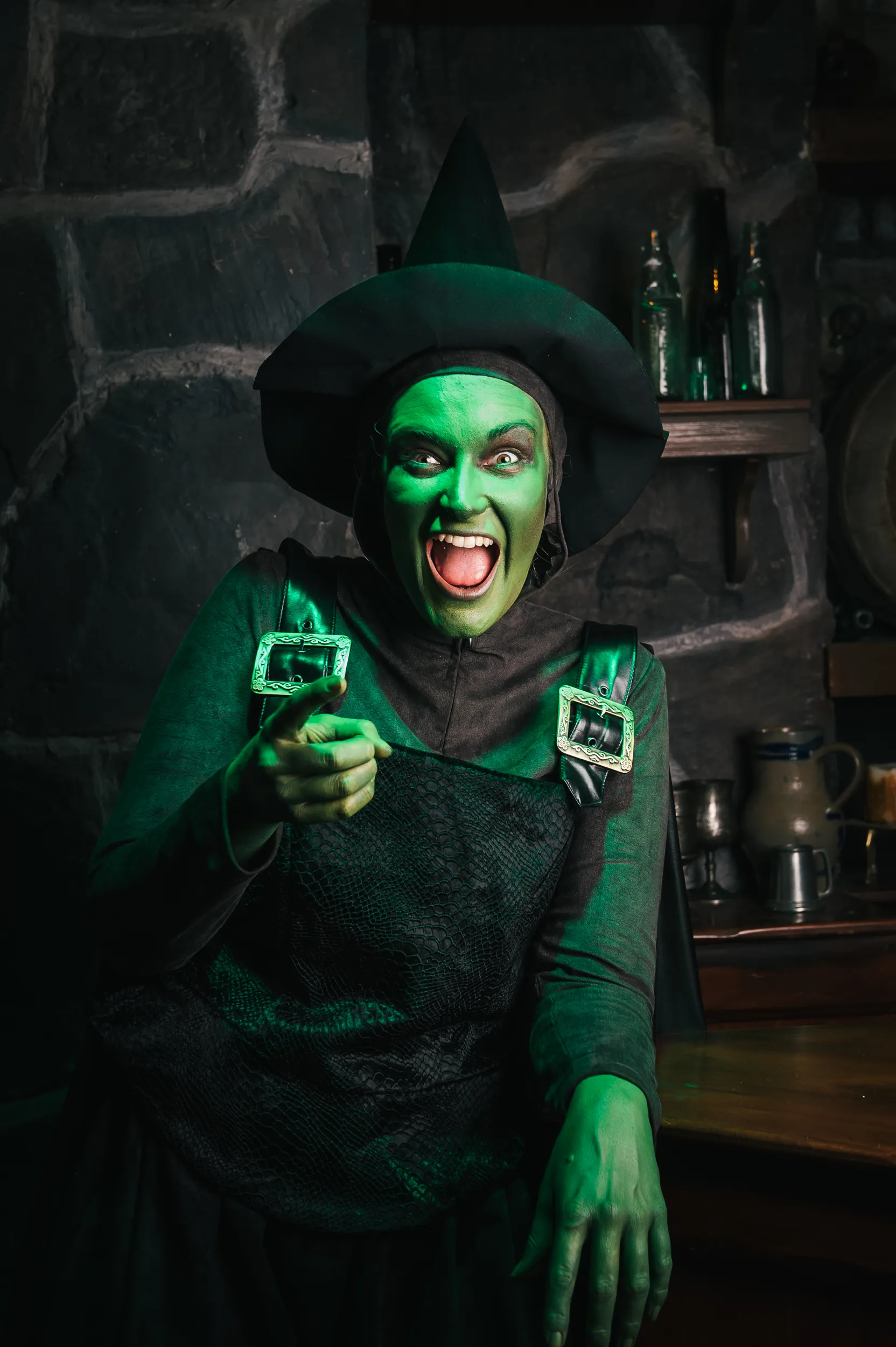 A Unique Shrek Experience | Shrek's Adventure! London